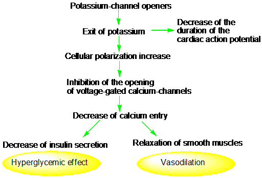 Potassium Channel Blockers; Channel Blockers, Potassium Potassium Channel Blockers; Channel Blockers, Potassium